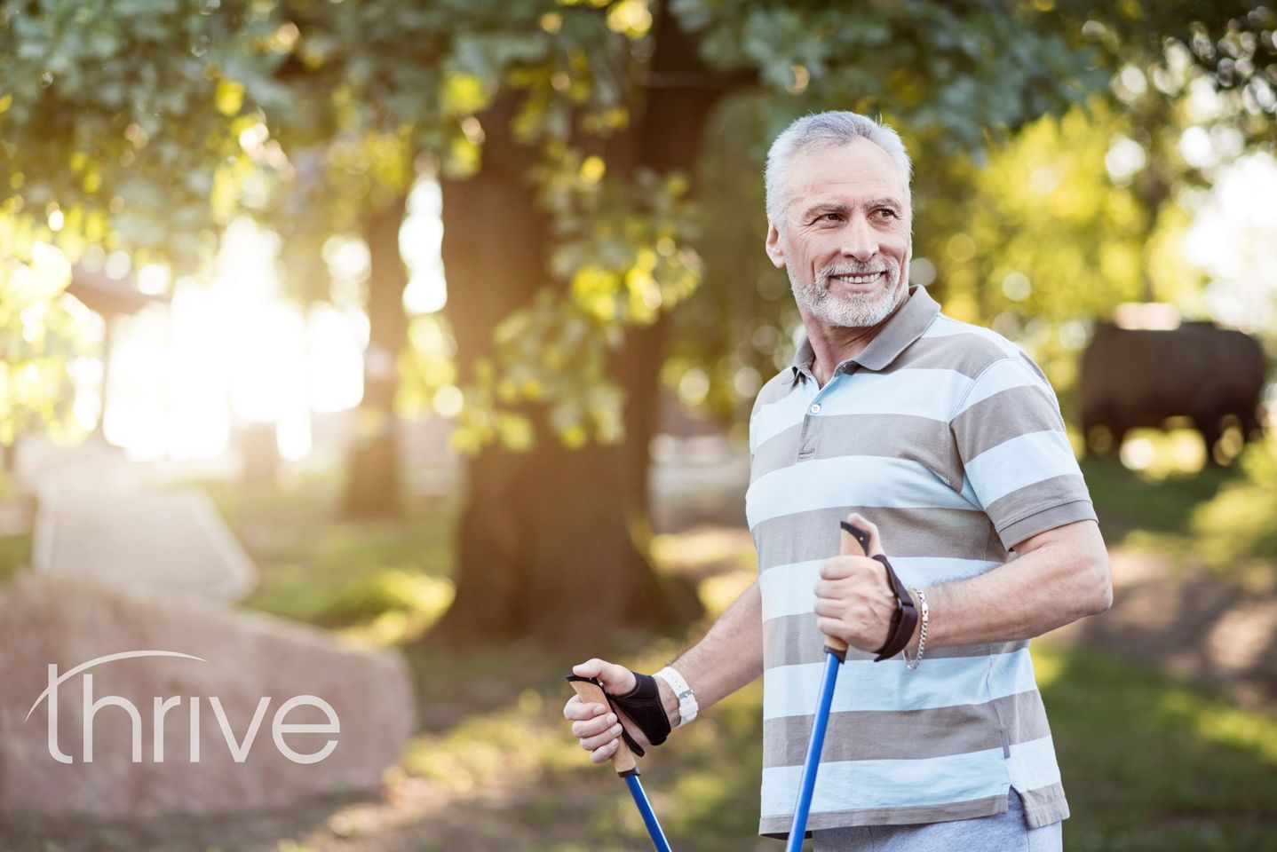 Download A Brochure | Thrive Montvale